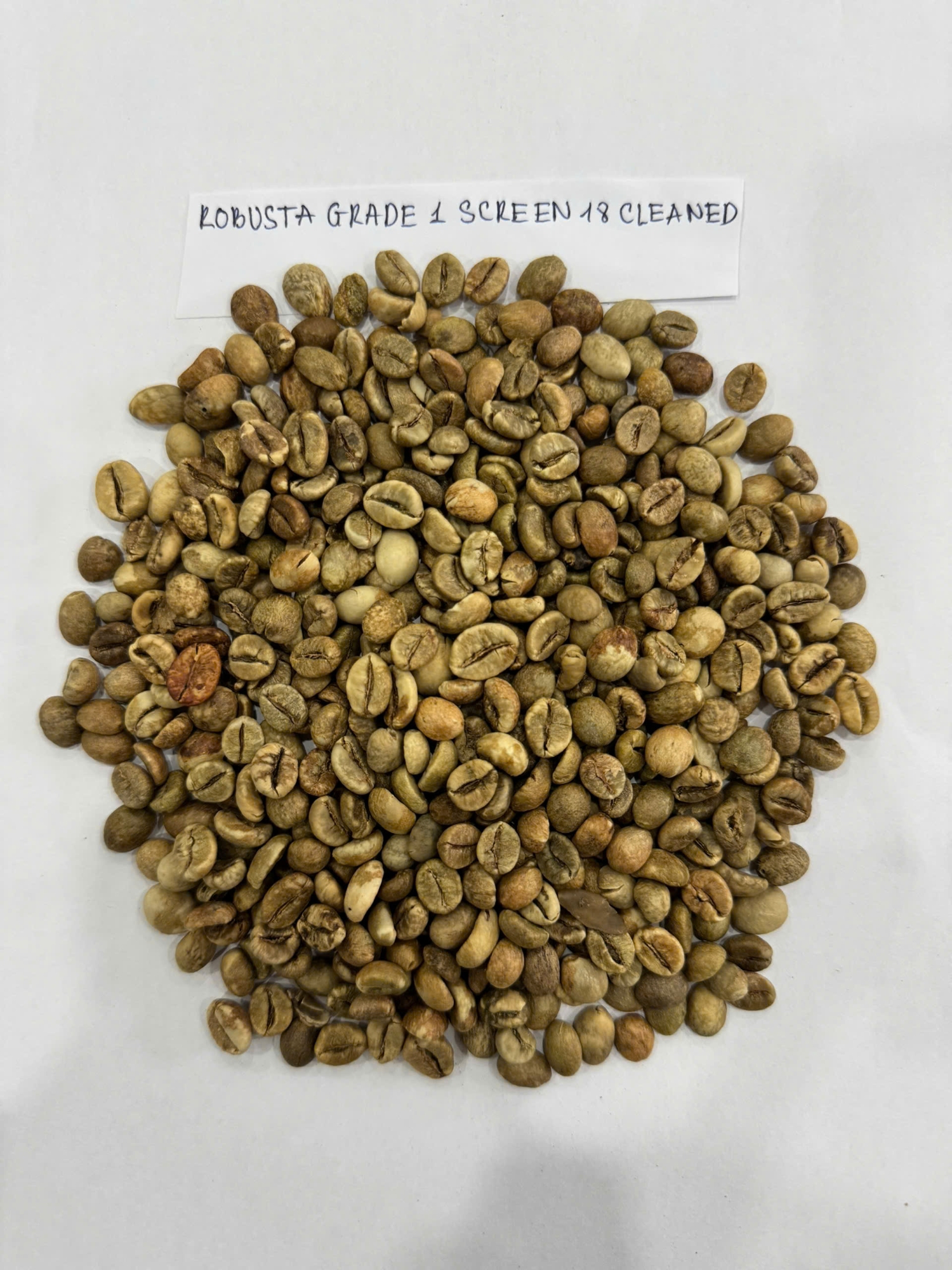 Robusta Grade 1 Screen 18 Cleaned